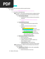Shoulder Examination Protocol Guide | PDF