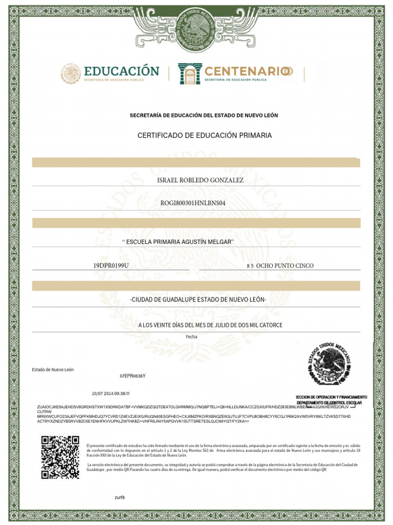 Certificado de Educación Primaria NL | PDF