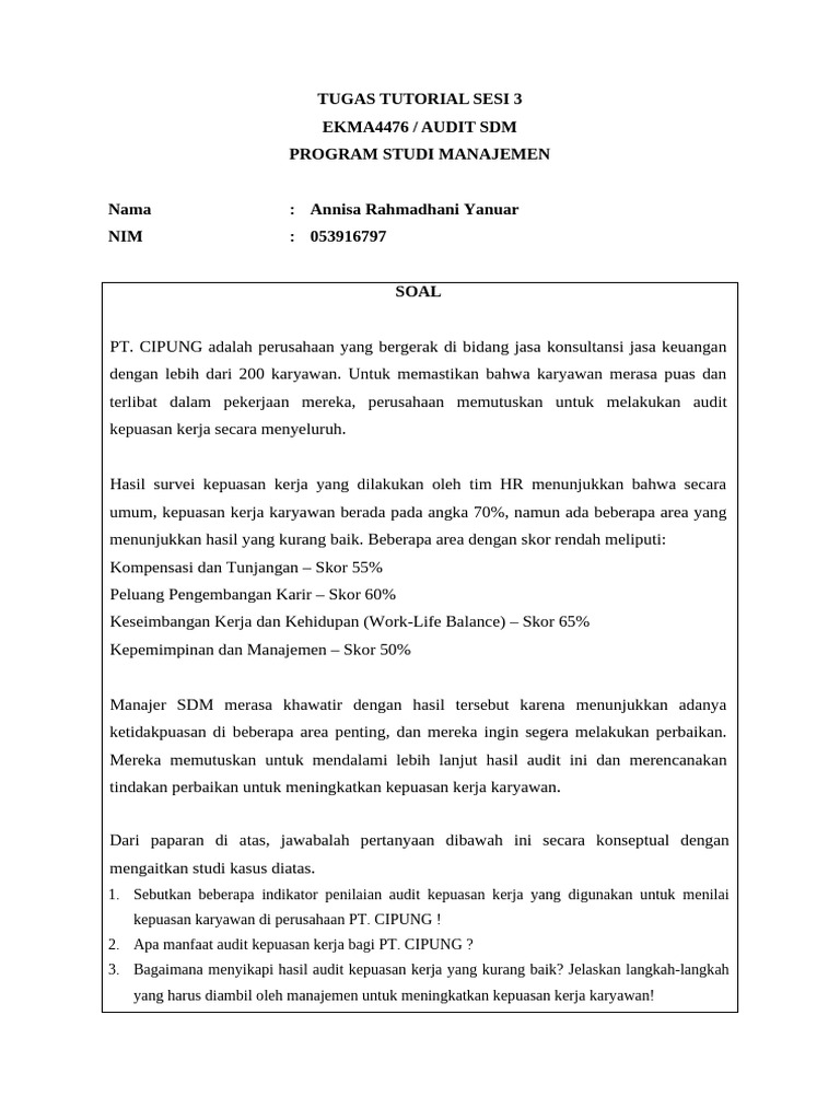 Tugas 3 - Audit SDM - Annisa RY | PDF