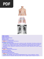 Tipos de Tórax: Normal y Patológicos | PDF | Tórax | Sistema esquelético