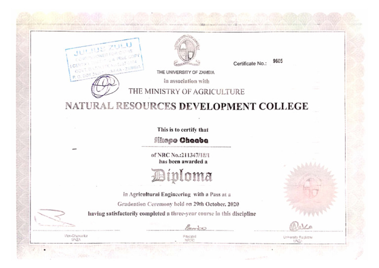 Diploma Certificate | PDF