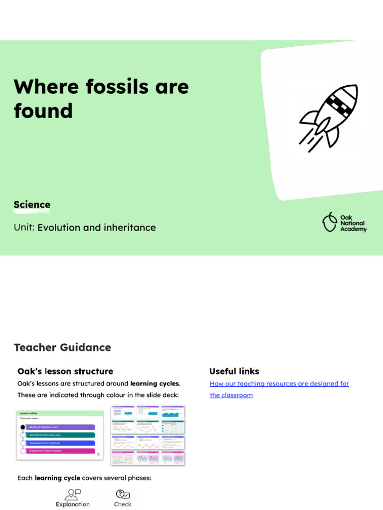 Fossils | PDF