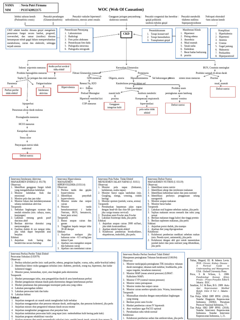 Woc CKD - Ferishandy Bagaskara | PDF