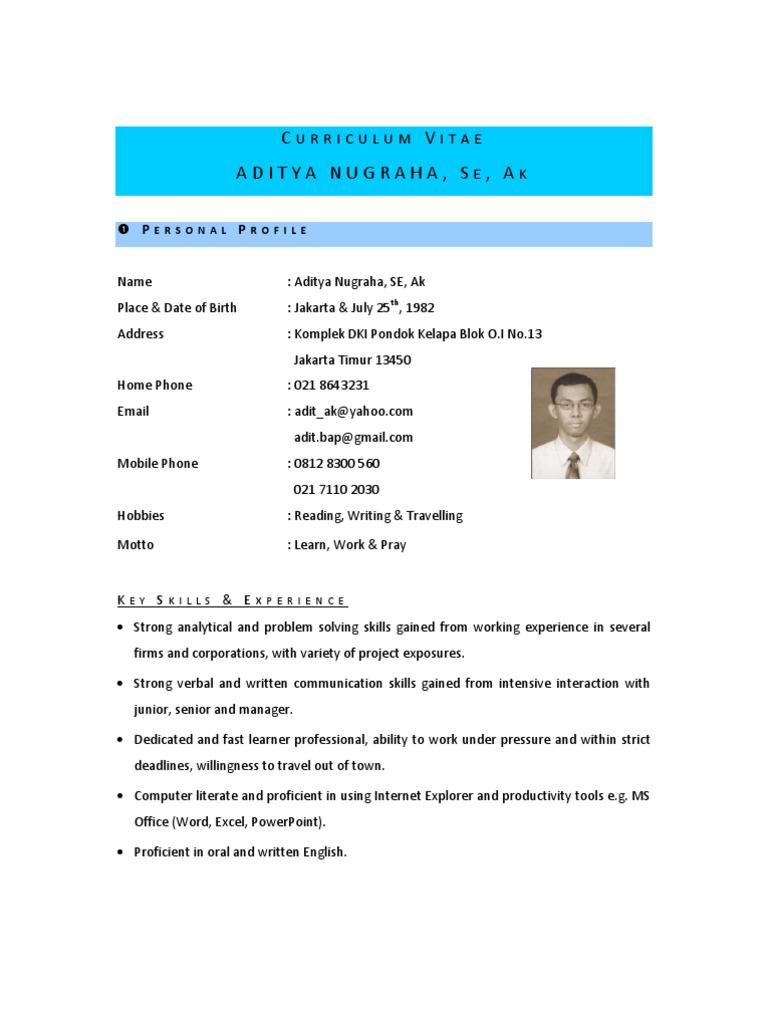 CV Aditya Nugraha | PDF | Pricewaterhouse Coopers | Accounting