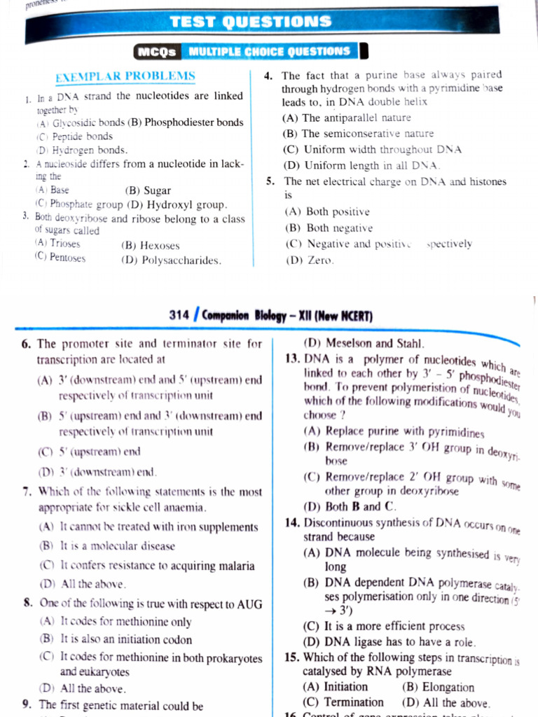MCQs - ARTQs On Molecular Basis of Inheritance | PDF | Translation (Biology) | Rna