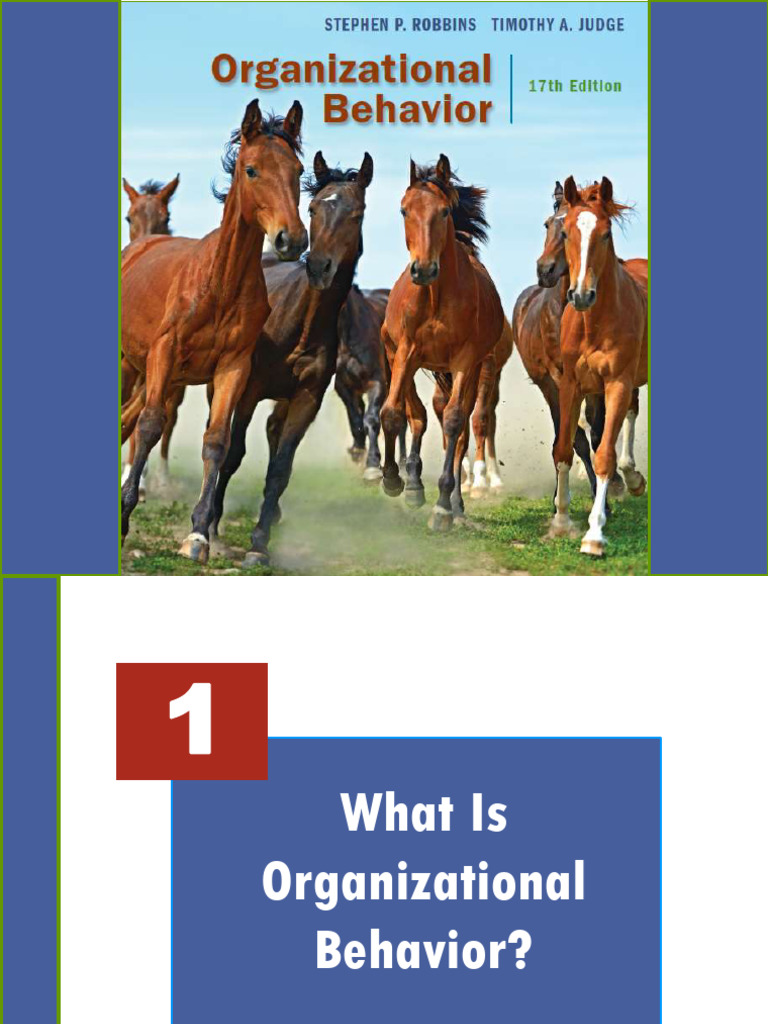 Robbinsjudge Ob17 Inppt 01 | PDF | Psychology | Organizational Behavior