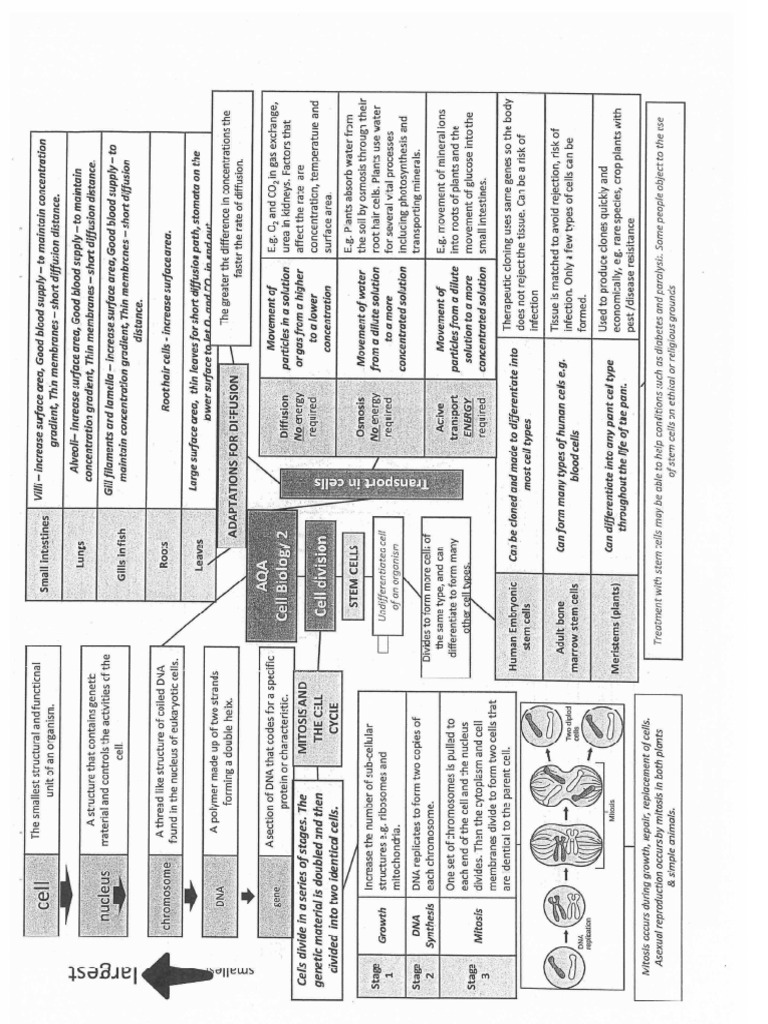 Biology Summary Pages (Horizontal) | PDF