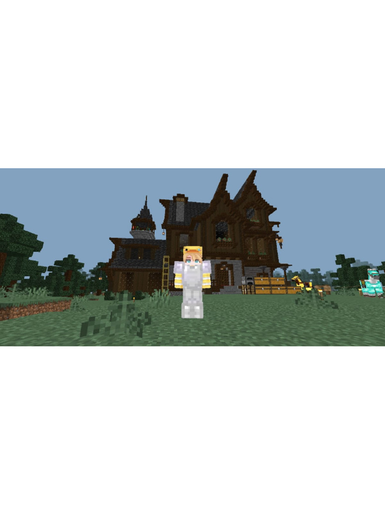 Minecraft Pict 3 | PDF