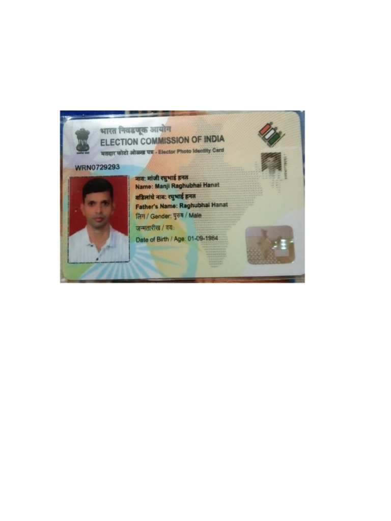 Voter ID | PDF