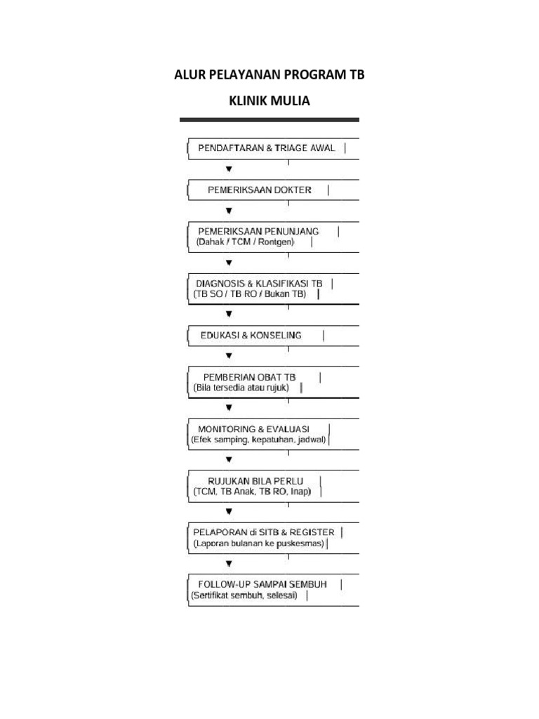 Alur Pelayanan Program TB | PDF