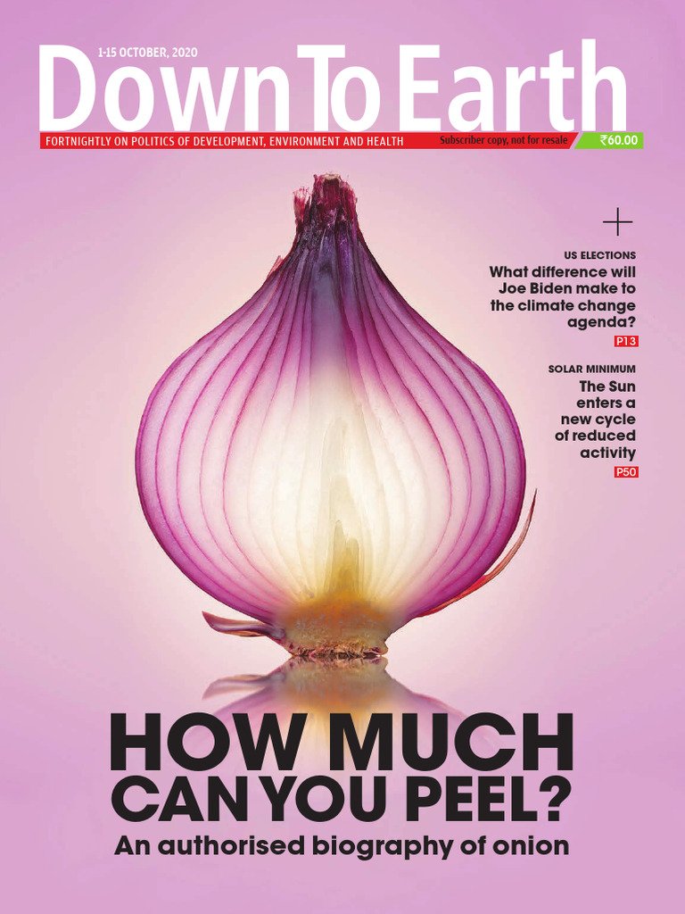 335747 Dte Archive | PDF | Wash | Sanitation