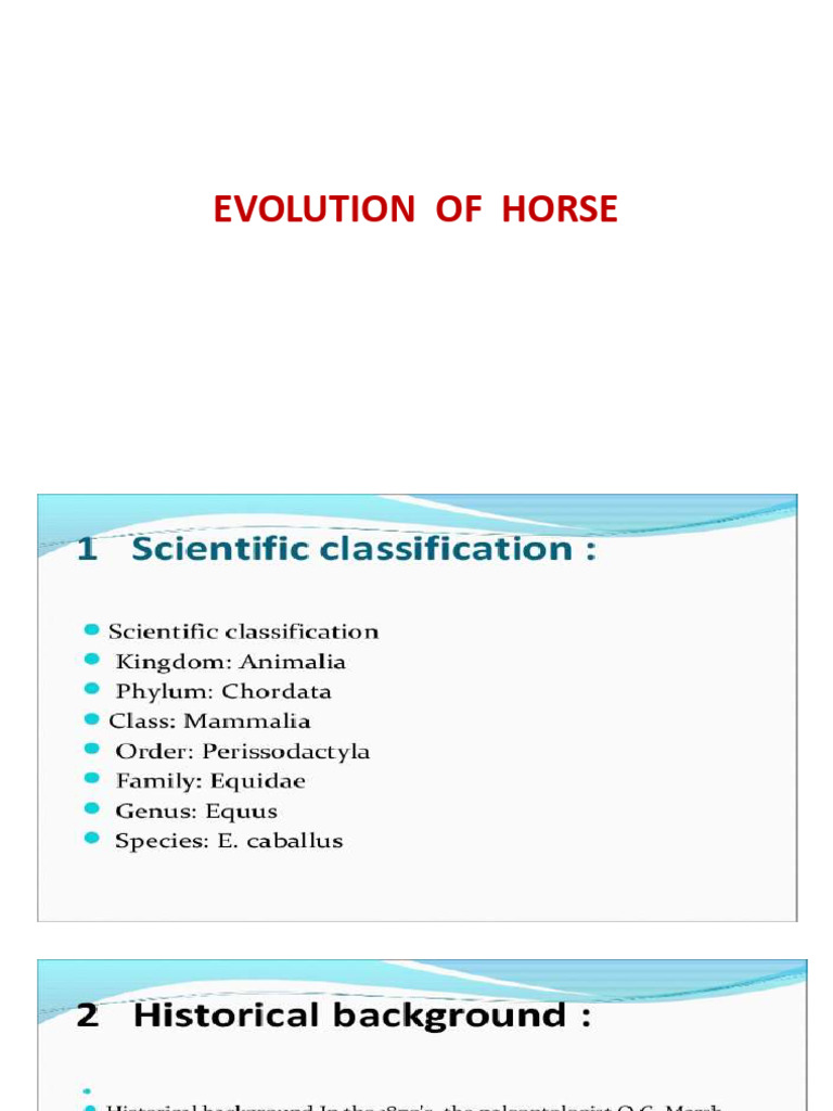 Horse | PDF