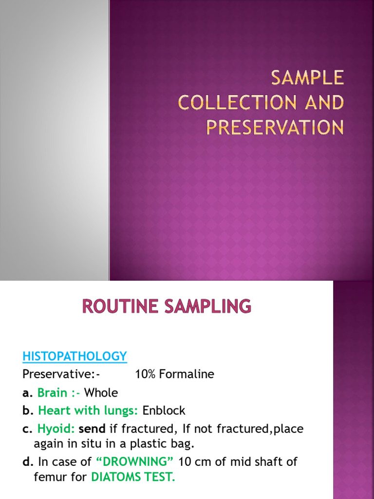 Forensic Sample Collection Guide | PDF | Vagina | Labia