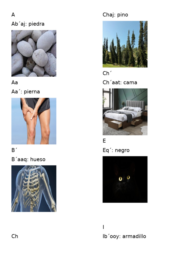 Abecedario en Achi | PDF