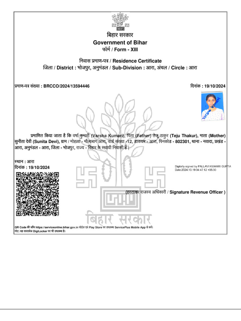 Brcco 2024 13594446 | PDF