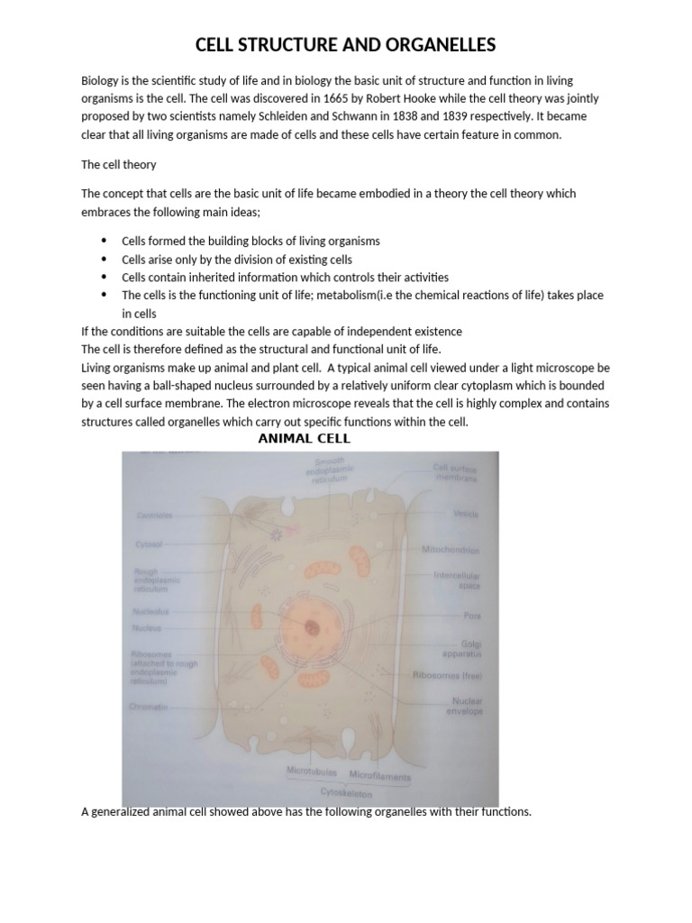 Cell Structure and Organelles | PDF | Cell (Biology) | Endoplasmic ...