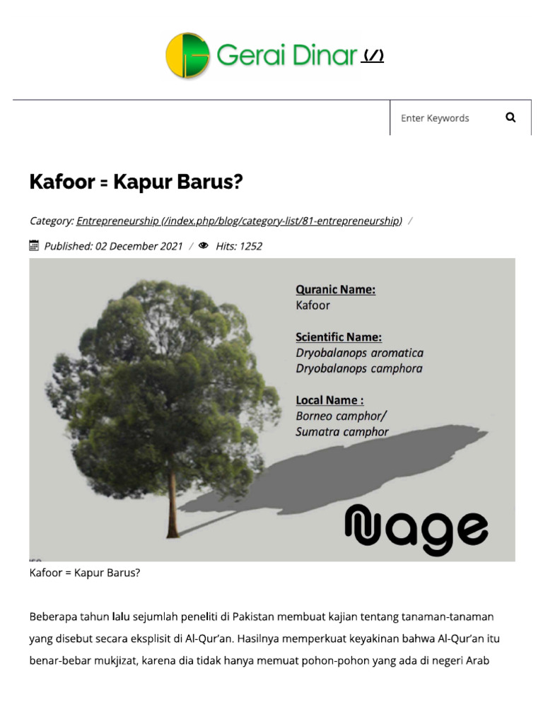Kafoor Kapur Barus | PDF