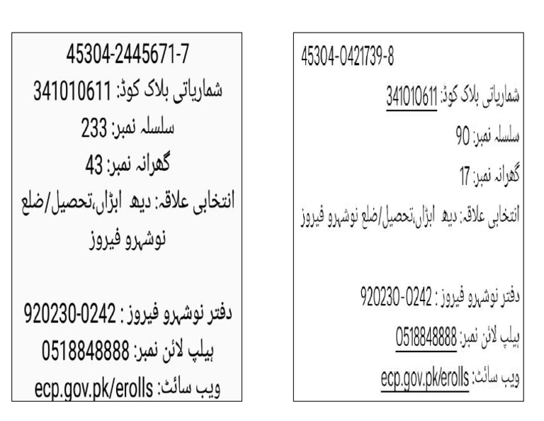 Election Liaqat 23 5 2025 | PDF