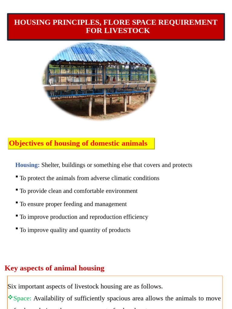 Principles of Livestock Housing Design | PDF | Cattle | Dairy Cattle