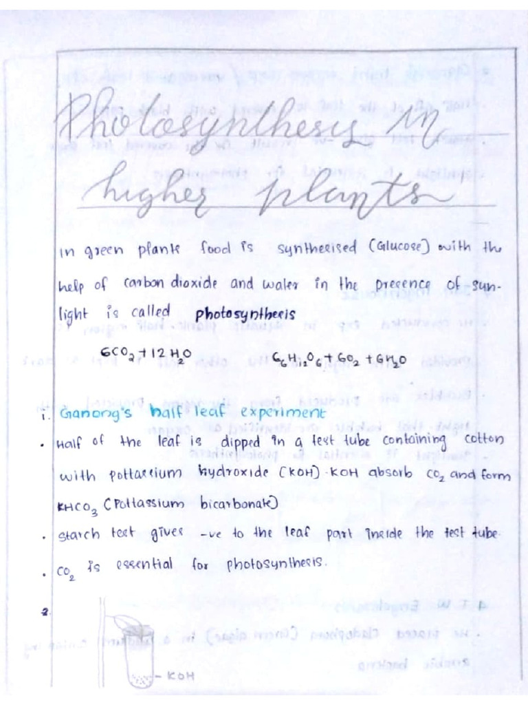 Photosynthesis Part 1 | PDF