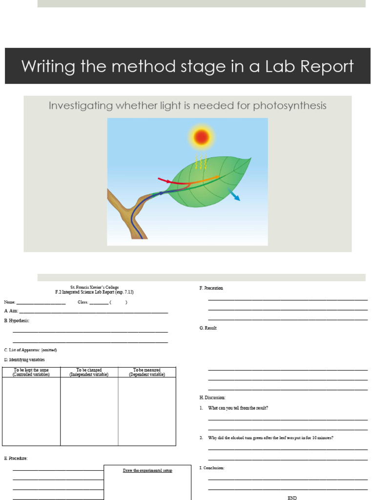 Photosynthesis Lab Report Method Steps | PDF | Botany | Plants