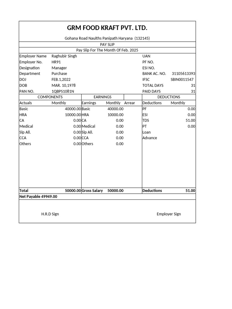 Pay Slip | PDF