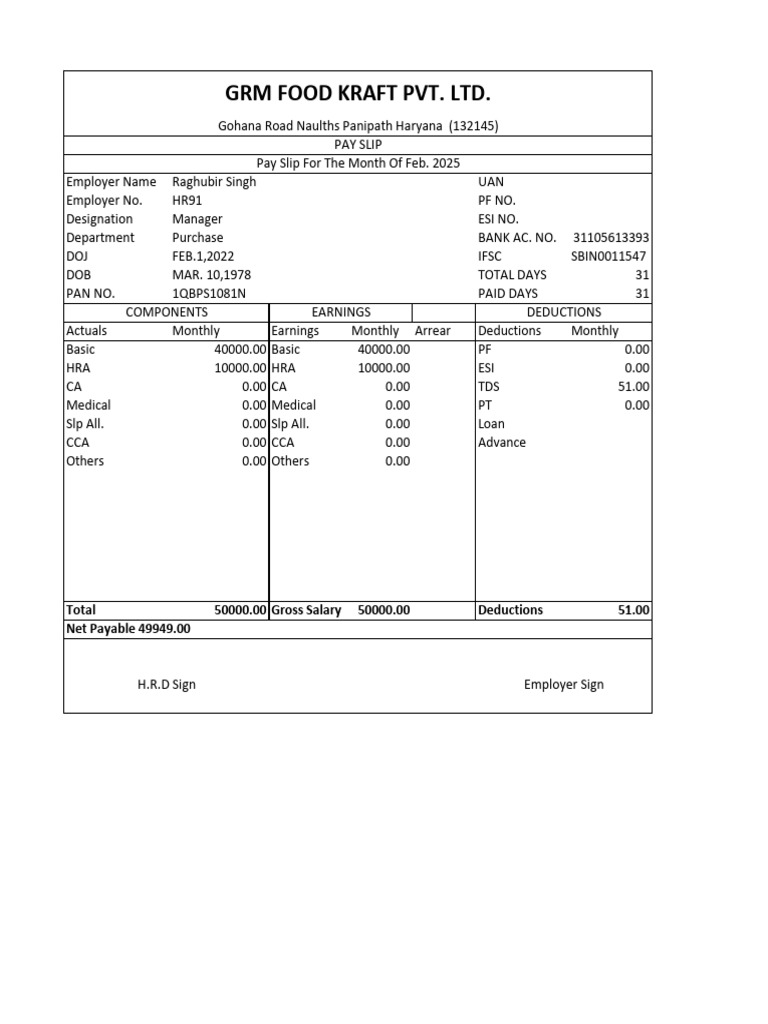 Pay Slip | PDF