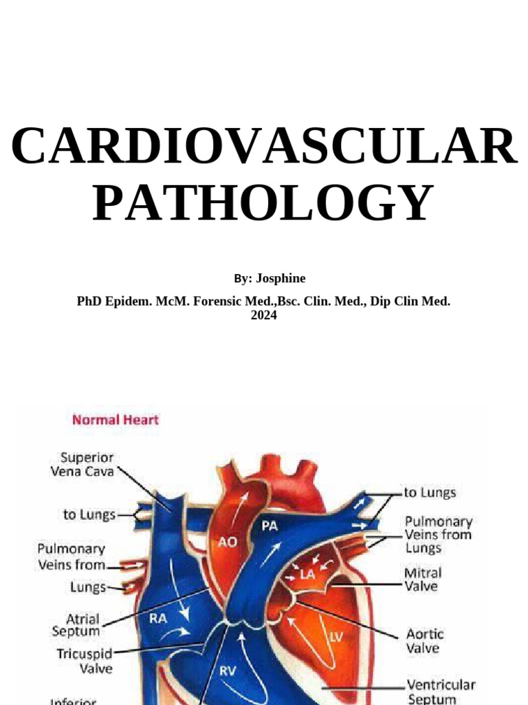 Cardiovascular Pathology Overview | PDF | Heart | Ischemia