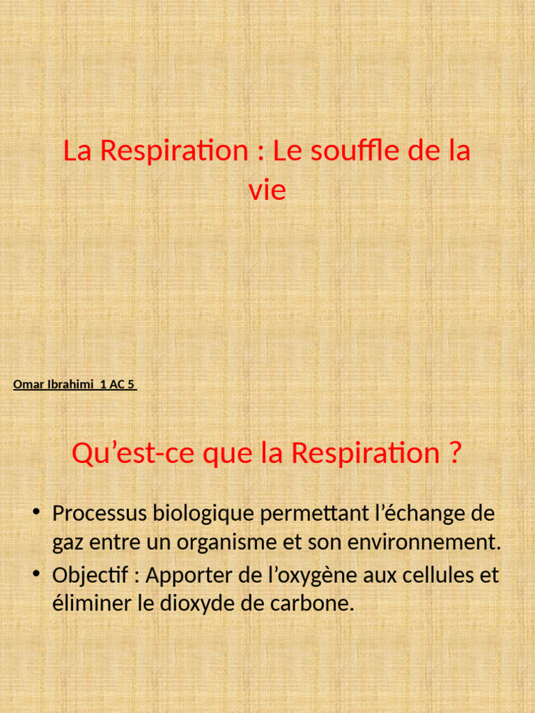 Respiration 1AC Presentation | PDF