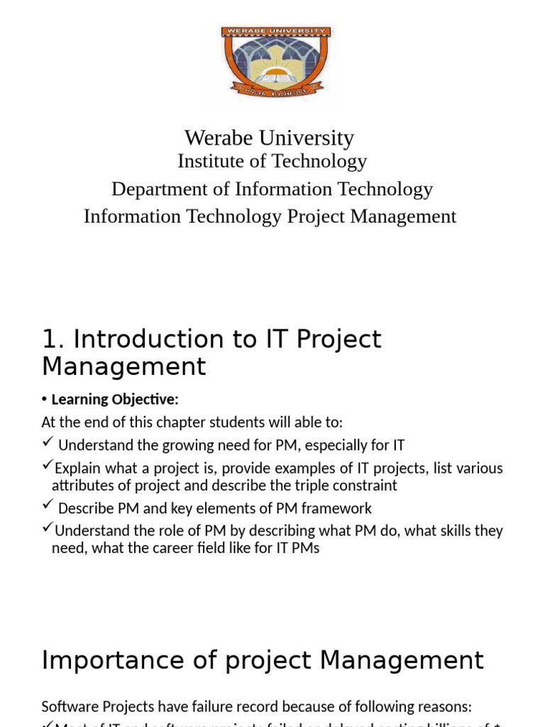 ITProjectManagement Chapter1 4 | PDF | Project Management | Business