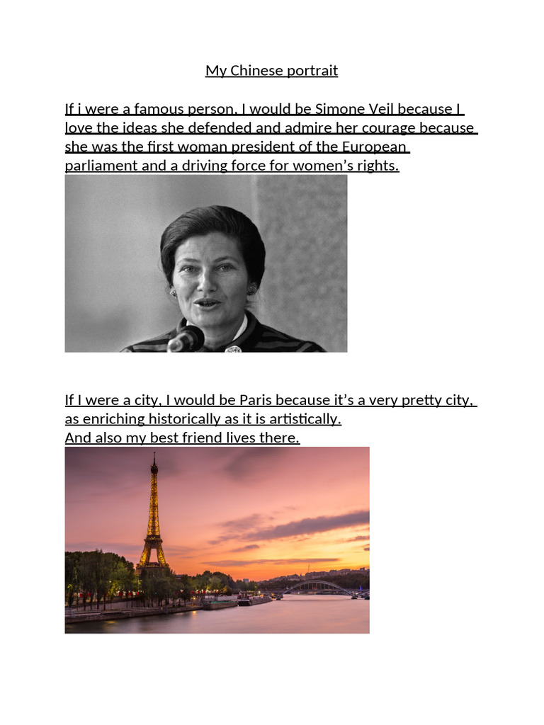 My Chinese Portrait | PDF