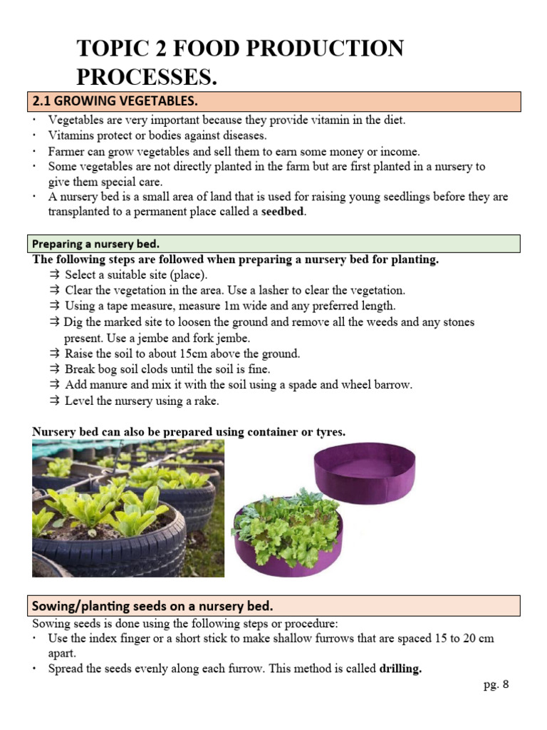 Grade 5 Agriculture Nutrition Notes 2 | PDF | Vegetables | Mulch