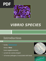 BAM Chapter 9. Vibrio | PDF | Science & Mathematics