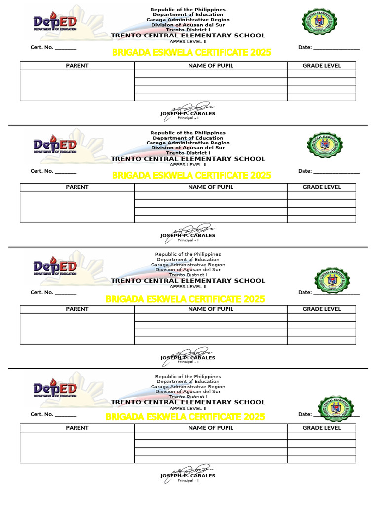 Brigada Eskwela Certificate | PDF | Philippines | Government