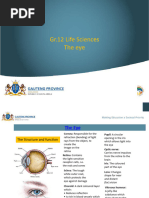 Grade 12 Life Science The Eye | PDF | Eye | Myopia