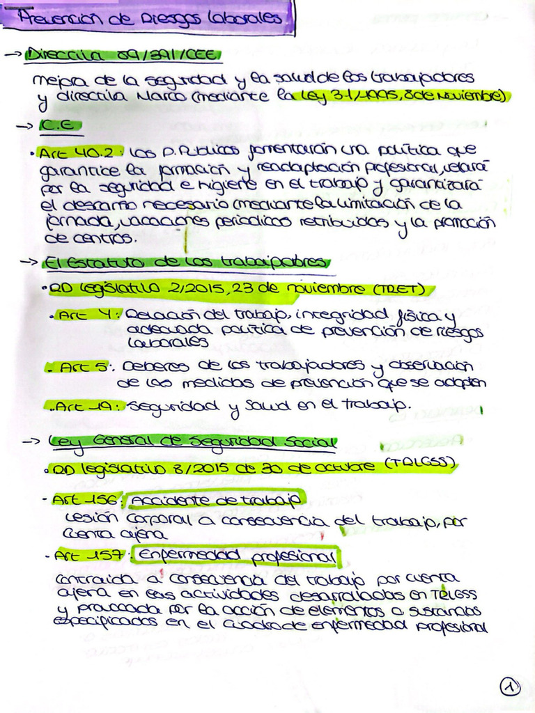 Resumen de PRL - Utfjtfiyfoygiyclyflyflglyg | PDF