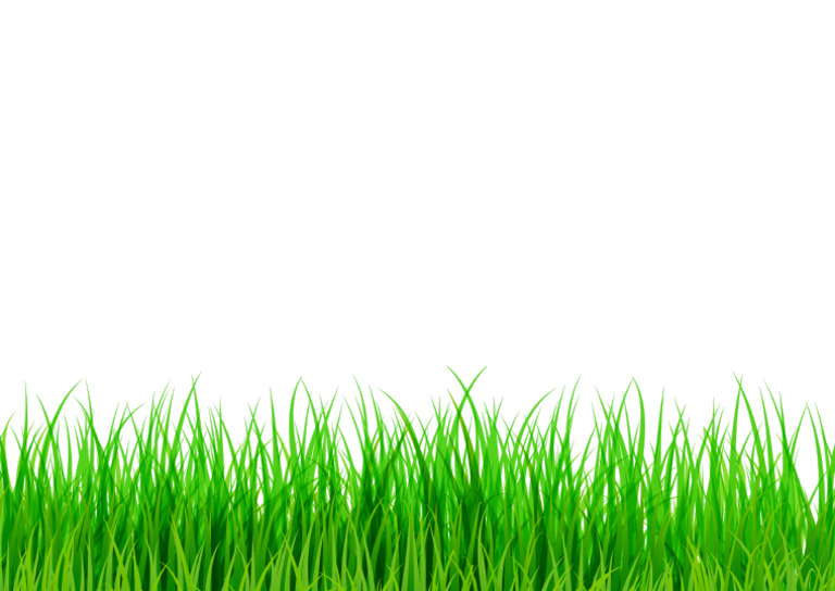 Green Geometric Blank A4 Document Landscape | PDF