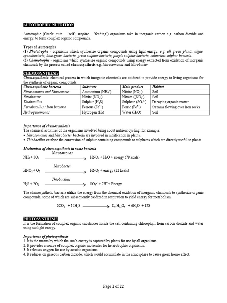 A Level Autotrophic Nutrition New Pdf Photosynthesis Leaf