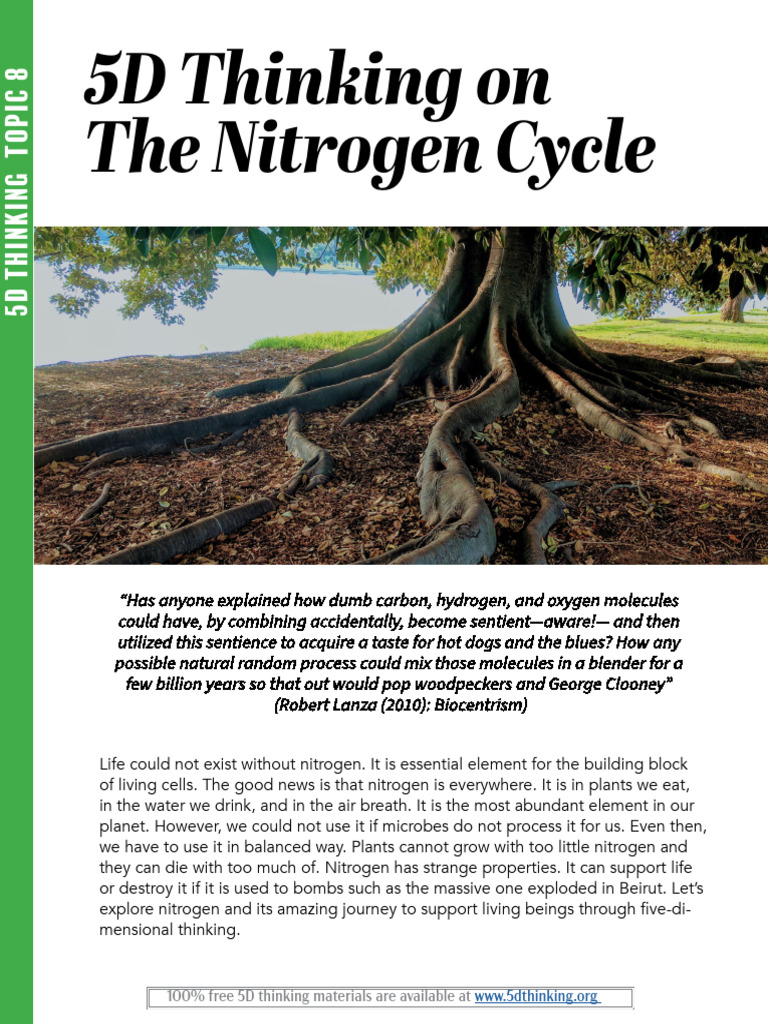 5D Thinking On The Nitrogen Cycle | PDF | Nitrate | Nitrogen
