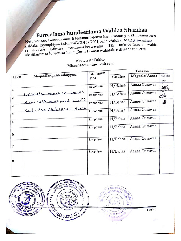 Barreeffama Falmataa | PDF