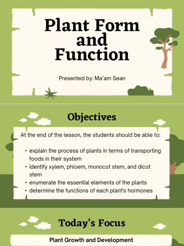 Plant Form and Function | PDF