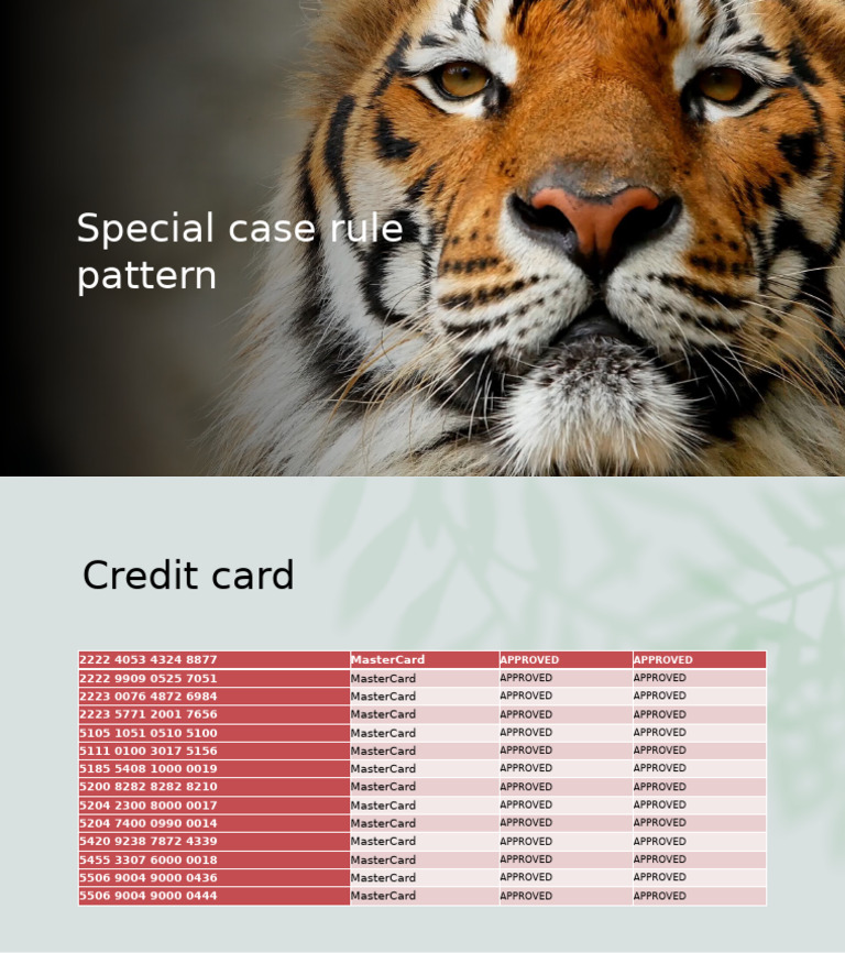 TC3 Credit Card | PDF