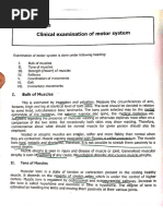 Grading Deep Tendon Reflexes Guide | PDF | Anatomical Terms Of Motion ...