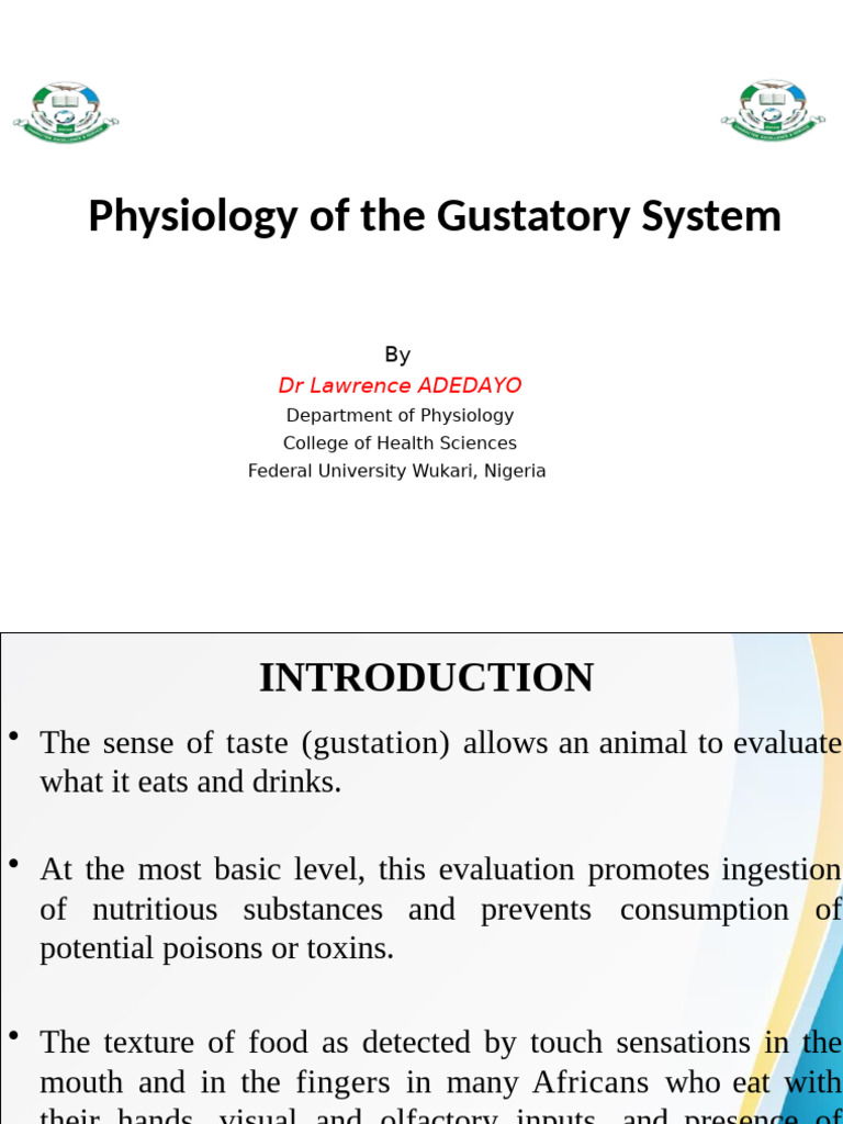 Understanding Taste Sensations | PDF | Taste | Senses