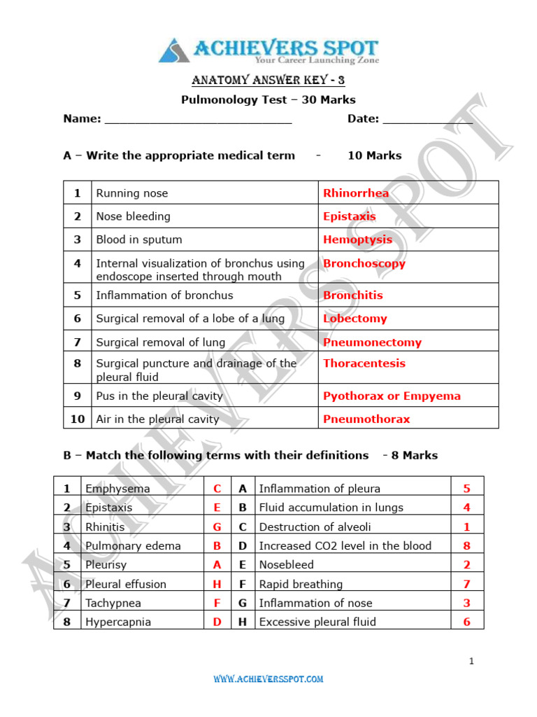 Respiratory System Answer Key | PDF | Respiratory Diseases | Lung