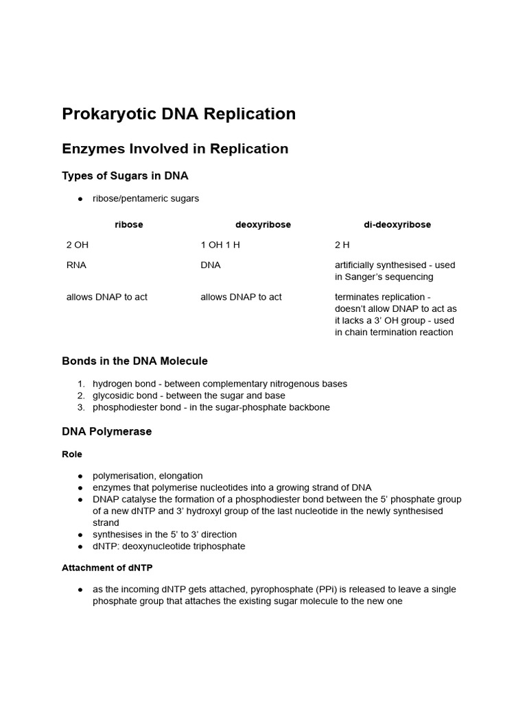 Prokaryotic DNA Replication | PDF | Dna Replication | Primer (Molecular ...