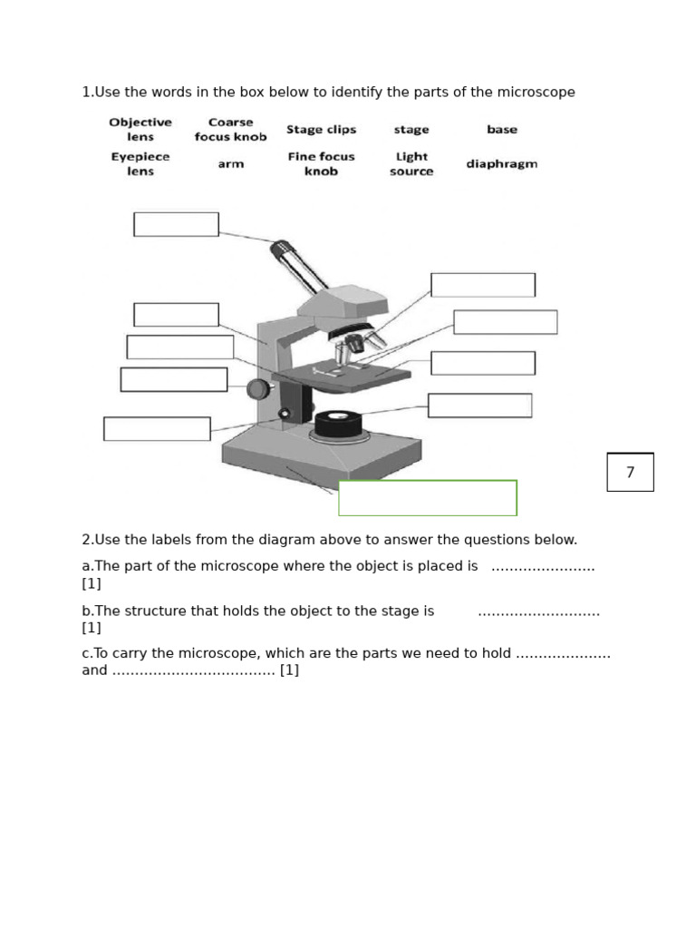 Assignment On Microscope, Year (Week 4) | PDF
