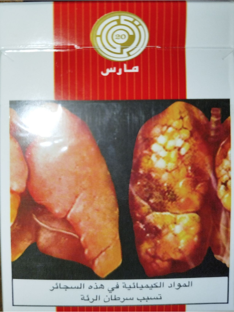 PDF Image2pdf 20240927003940 | PDF