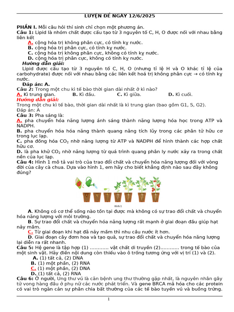 Luyen de THPT 2025 | PDF