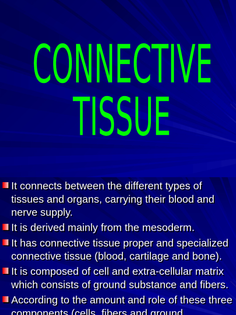Lecture04 Connective Tissue | PDF | Connective Tissue | Collagen